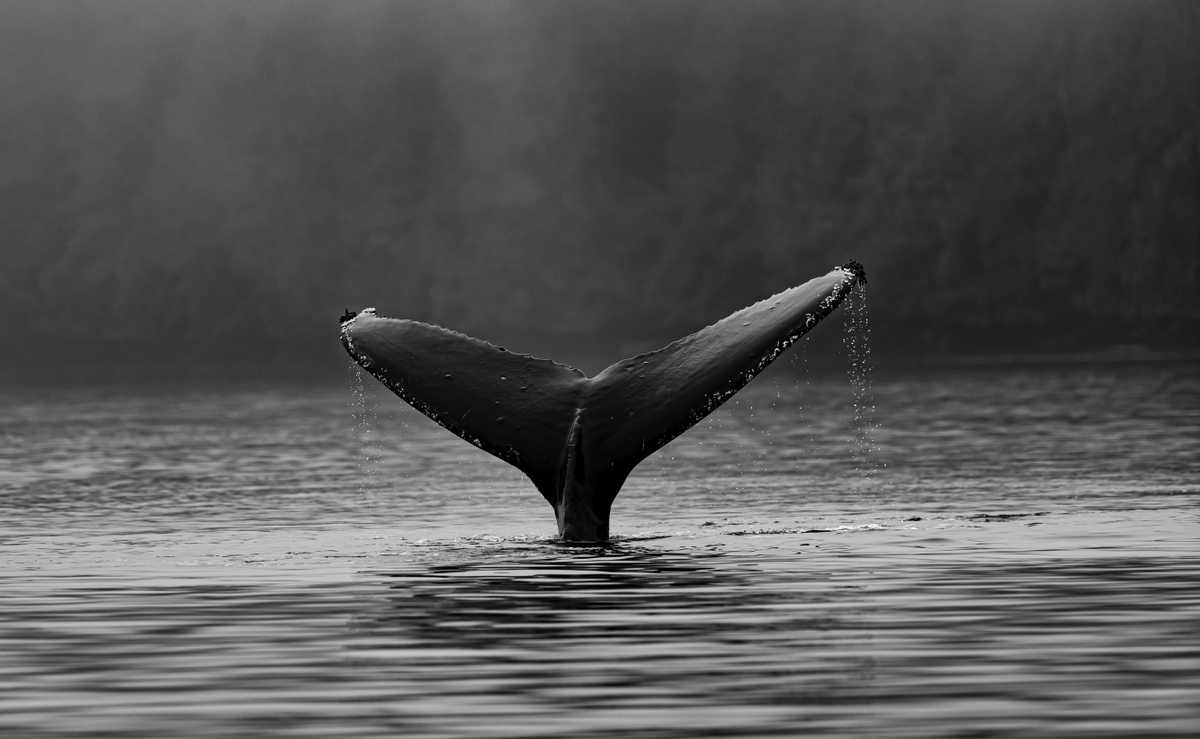 Dockerfile の書き方 – Docker syntax | typememo.jp Dockerfile の書き方 – Docker syntax | typememo.jp